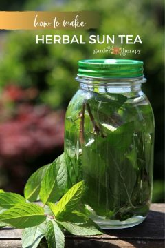 Make Sun Tea Two Ways and Enjoy Hundreds of Possibilities!