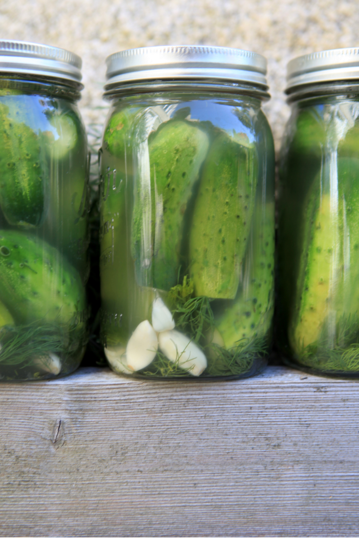 The Best Ever Deli-Style Sour Pickles Recipe. Ever. Seriously. - Garden ...