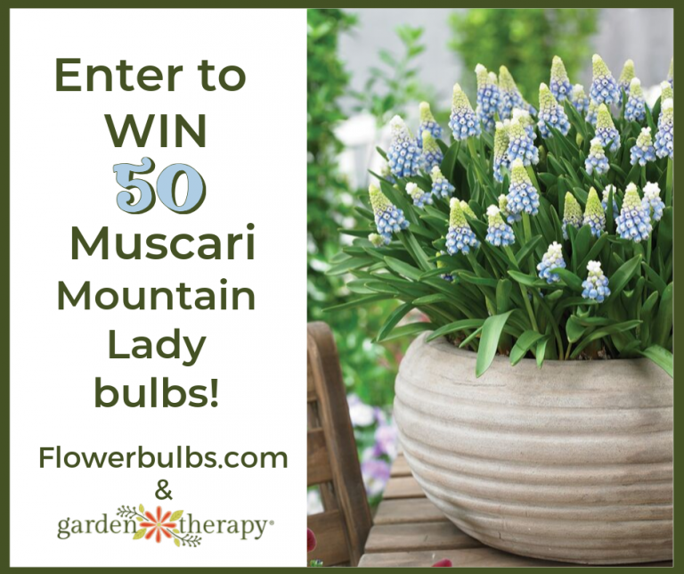 Beyond Tulips: 12 Extraordinary Spring Flowering Bulbs to Plant in Fall