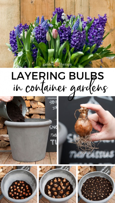 How to Plant Fall Bulbs for Long-Lasting Spring Colour - Garden Therapy