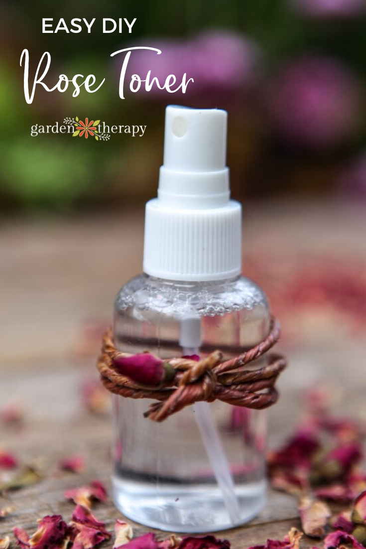 Easy DIY Rose Toner - Garden Therapy