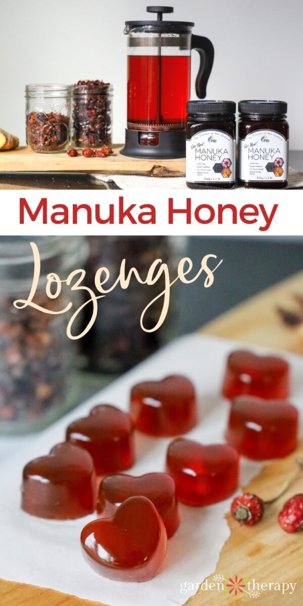 Manuka Honey Lozenges + The Benefits of Manuka Honey