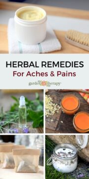 Home Remedies To Add To Your Herbal Medicine Cabinet - Garden Therapy