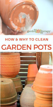 How to Clean Garden Pots Properly