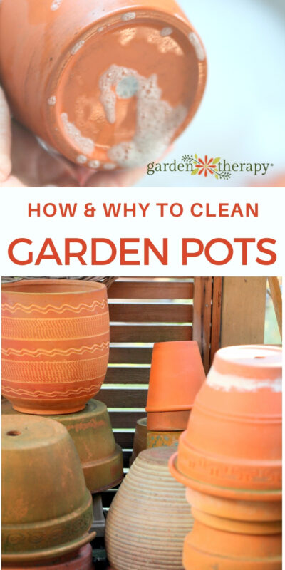 How to Clean Garden Pots Properly