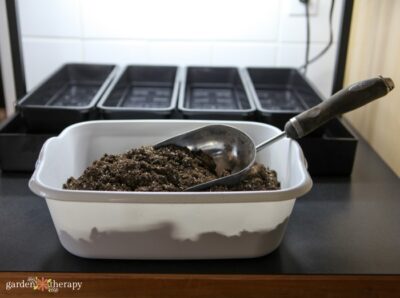 How to Grow Microgreens + What to Do With Them - Garden Therapy