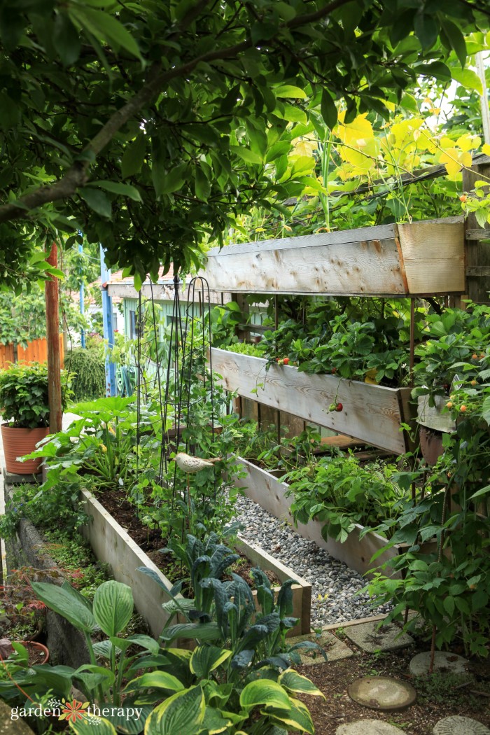 How to Keep Animals Out of the Garden Naturally - Garden Therapy