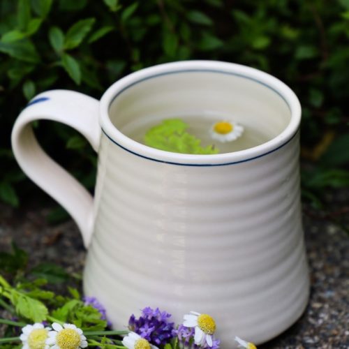 Herbal Guide to Feverfew: THE Migraine Herb - Garden Therapy