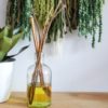 Natural Reed Diffuser: Freshen Up the Home with Essential Oils - Garden ...