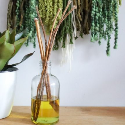 Natural Reed Diffuser: Freshen Up the Home with Essential Oils - Garden ...