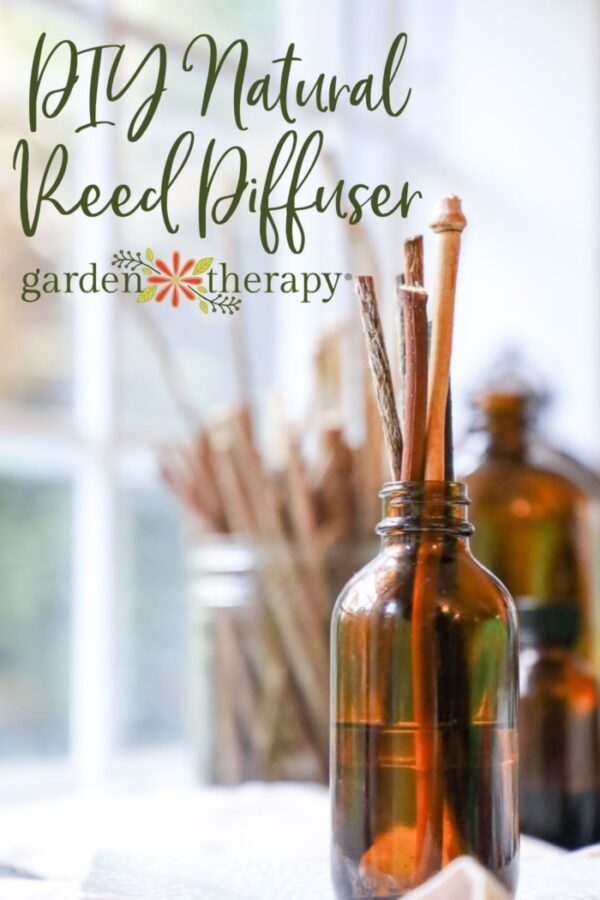 Natural Reed Diffuser: Freshen Up the Home with Essential Oils - Garden ...