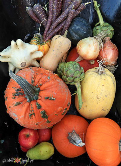 Hybrid, GMO, or Heirloom Seeds: Here's What You Need to Know - Garden ...