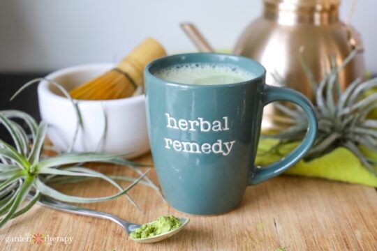 It’s Tea O’Clock! Matcha Green Tea Soap Recipe - Garden Therapy