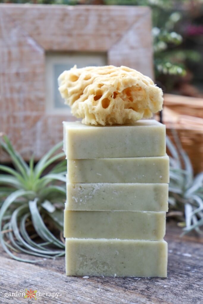 It’s Tea O’Clock! Matcha Green Tea Soap Recipe - Garden Therapy