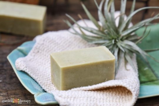 It’s Tea O’Clock! Matcha Green Tea Soap Recipe - Garden Therapy