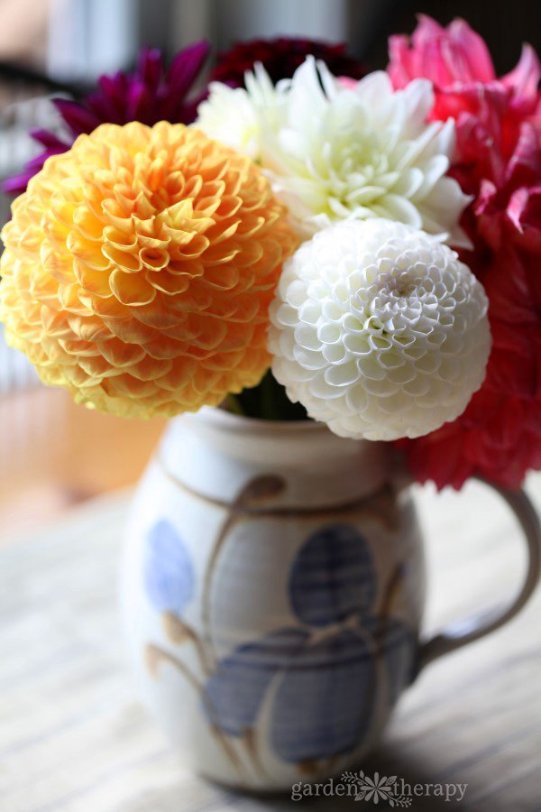 Random Gifts of Flowers: Spreading Love Through Flowers - Garden Therapy