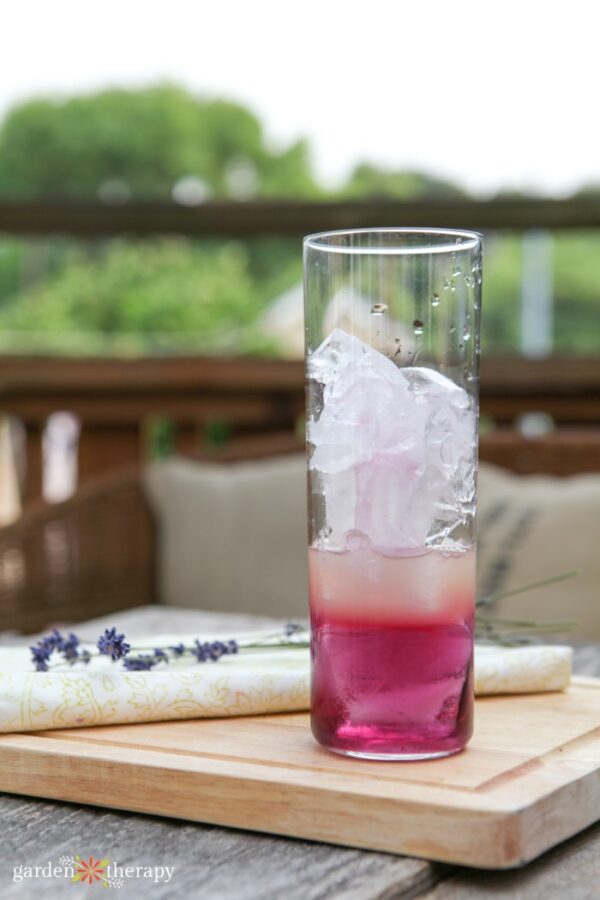 Make a Simple Lavender Lemonade in Just Minutes! - Garden Therapy