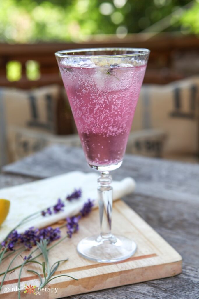 Make a Simple Lavender Lemonade in Just Minutes! - Garden Therapy