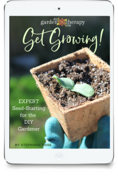 The Seed Shopping Handbook: Tips for Buying Seeds for Gardening