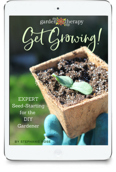 The Seed Shopping Handbook: Tips for Buying Seeds for Gardening