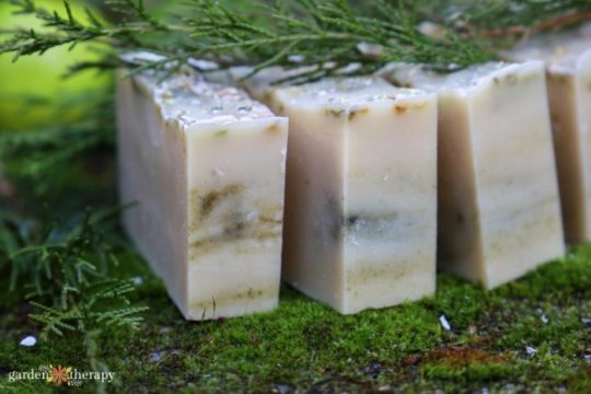 Sweetly Masculine Lime and Cedarwood Soap Recipe - Garden Therapy