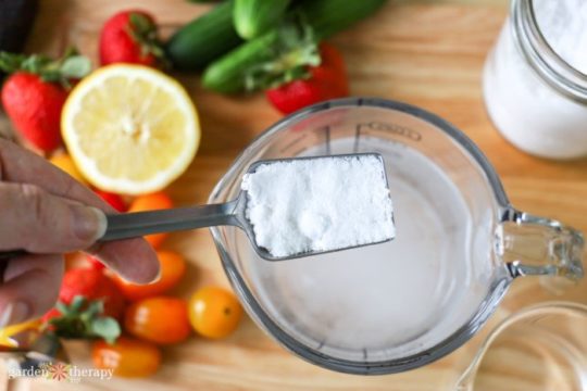 Homemade Fruit and Vegetable Wash Recipe - Garden Therapy