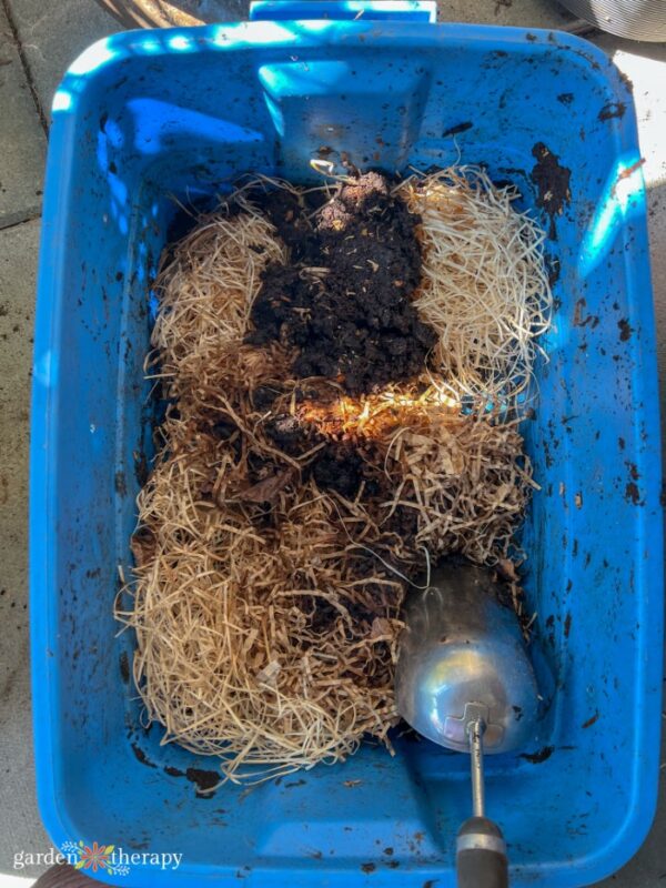 Vermicomposting: The Complete Guide to Worm Castings - Garden Therapy