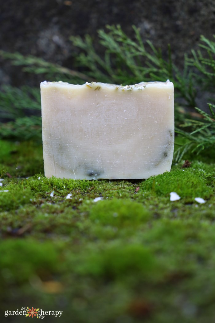 Sweetly Masculine Lime and Cedarwood Soap Recipe - Garden Therapy