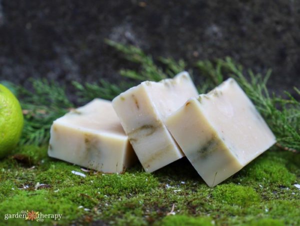 Sweetly Masculine Lime and Cedarwood Soap Recipe - Garden Therapy