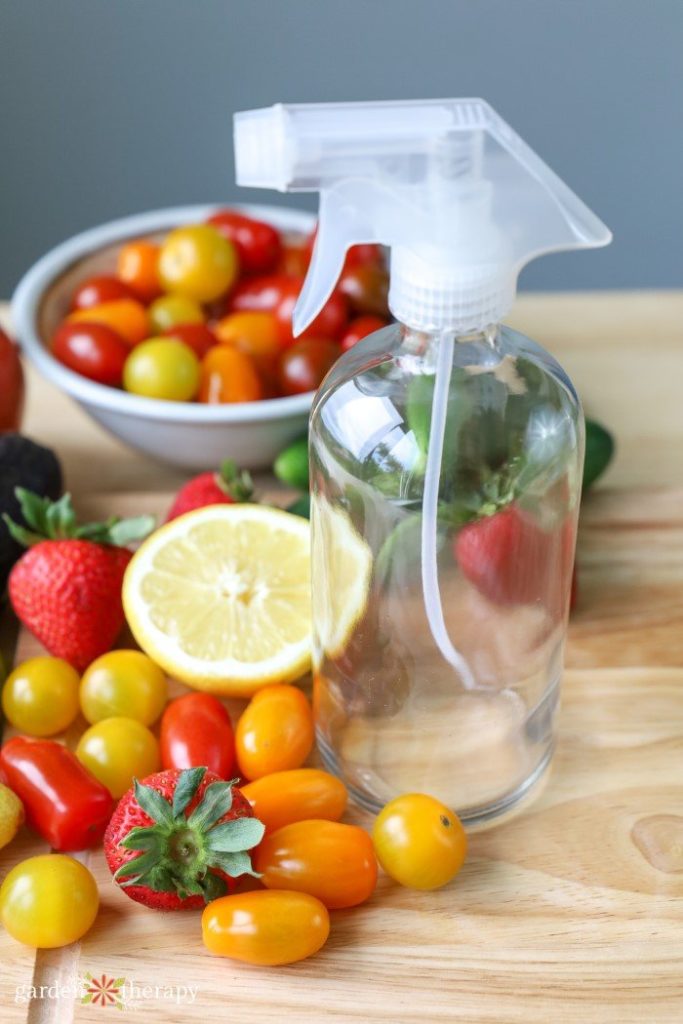 Homemade Fruit and Vegetable Wash Recipe - Garden Therapy