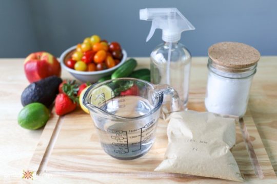 Homemade Fruit and Vegetable Wash Recipe - Garden Therapy