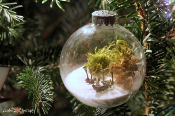 Crafty Terrarium Ornaments for Your Christmas Tree - Garden Therapy