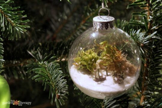Crafty Terrarium Ornaments for Your Christmas Tree - Garden Therapy