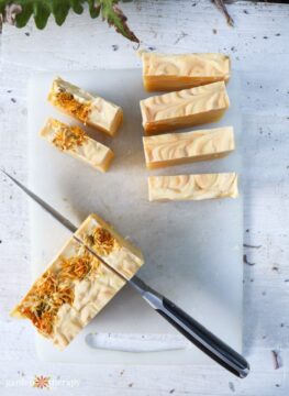 Liquid Sunshine Orange Soap With Dried Orange Slices - Garden Therapy