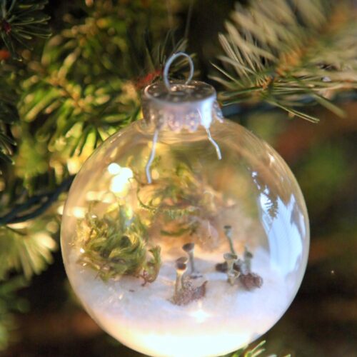 Crafty Terrarium Ornaments for Your Christmas Tree - Garden Therapy