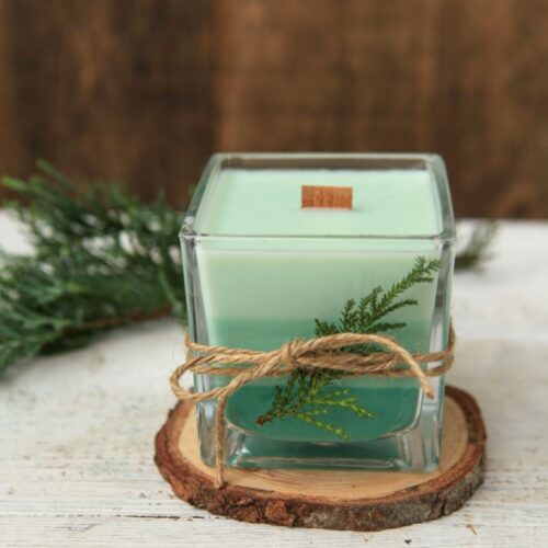How to Make a Festive Evergreen Candle - Garden Therapy