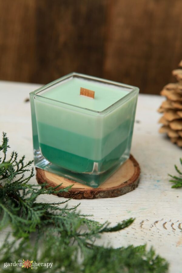 How to Make a Festive Evergreen Candle - Garden Therapy