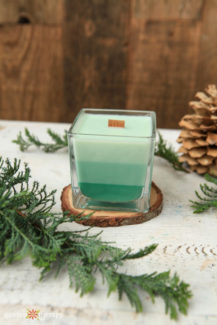 How to Make a Festive Evergreen Candle - Garden Therapy