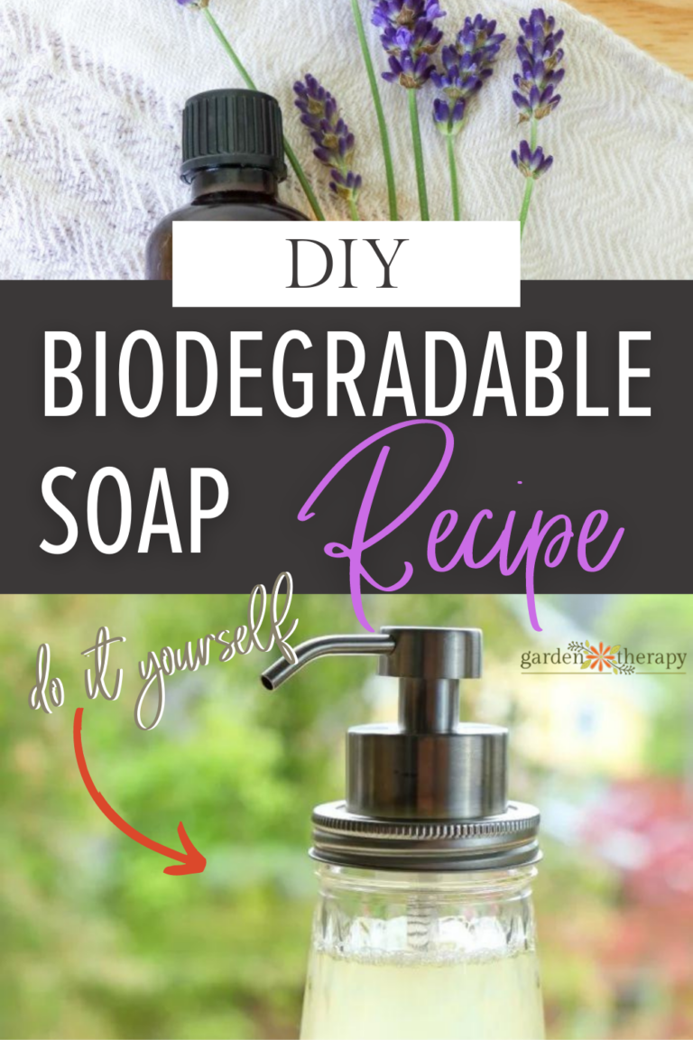 Biodegradable Soap Recipe: Good for You, Better for the Environment