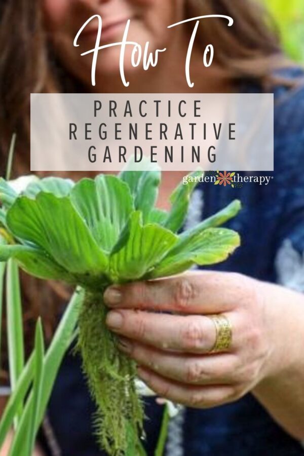 How to Practice Regenerative Gardening - Garden Therapy