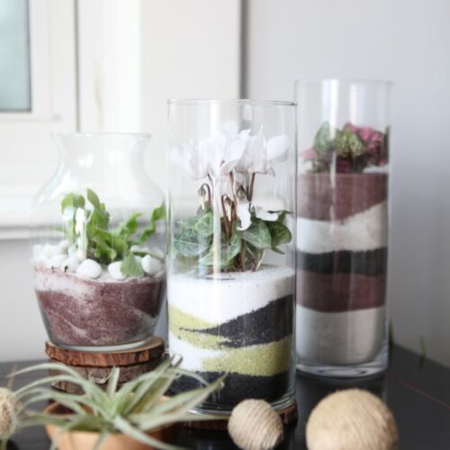 How to Make a Stunning Sand Art Terrarium - Garden Therapy