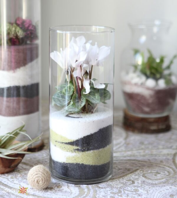 How to Make a Stunning Sand Art Terrarium - Garden Therapy