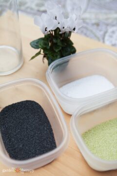 How to Make a Stunning Sand Art Terrarium - Garden Therapy