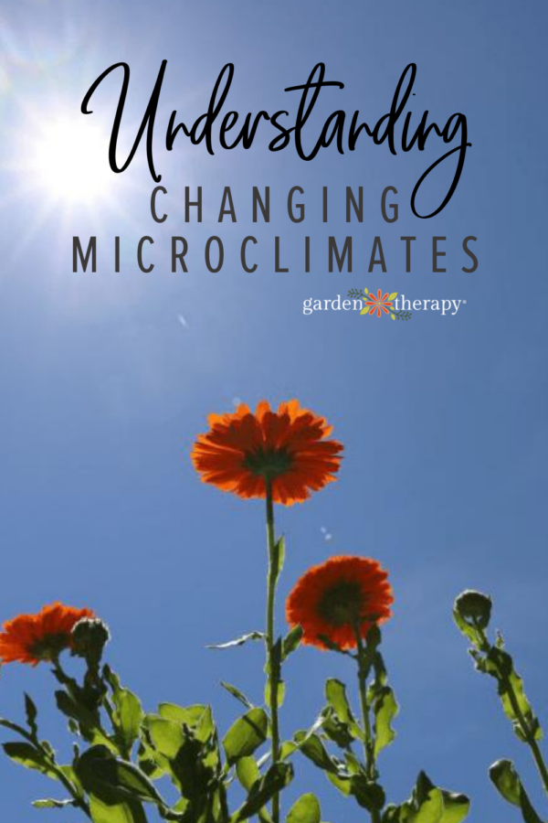 How Modern Gardeners Can Understand Changing Microclimates