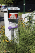 How to Make a Little Seed Library in Your Community - Garden Therapy