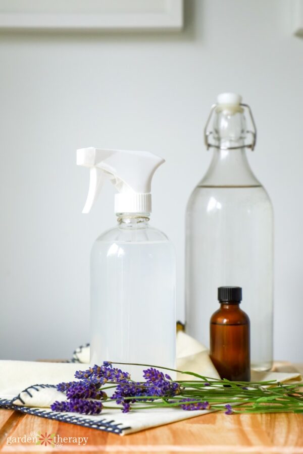 DIY All-Purpose Cleaner With Lavender and Alcohol - Garden Therapy