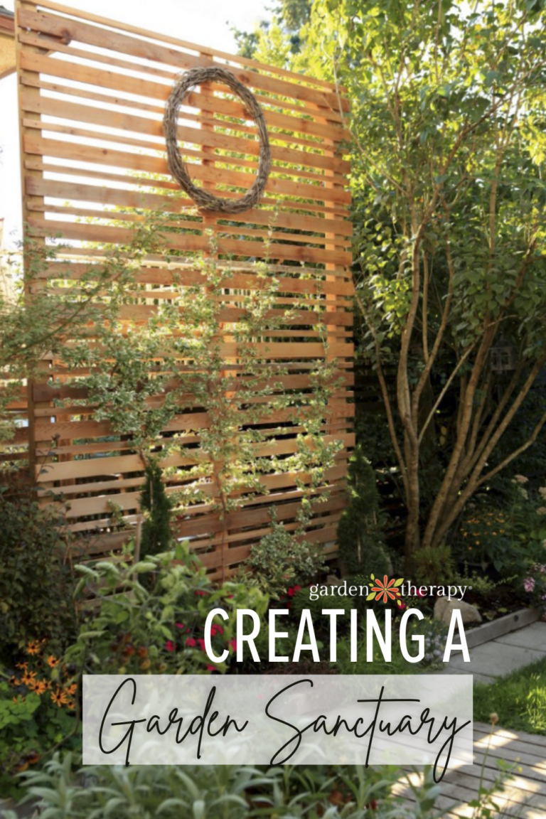 Creating a Garden Sanctuary in Your Backyard - Garden Therapy