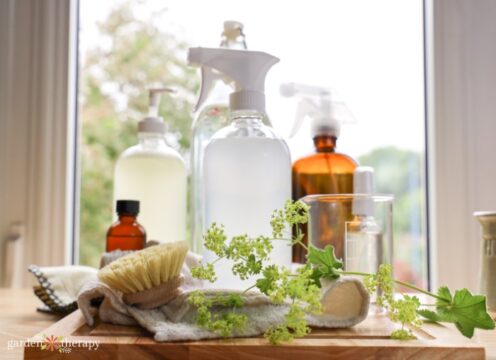 15 DIY Natural Cleaning Products for a Greener Home - Garden Therapy