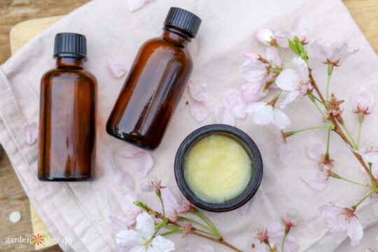 Homemade Hand Salve Recipe for Dry Skin - Garden Therapy