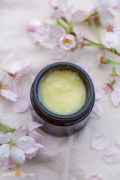 Homemade Hand Salve Recipe for Dry Skin - Garden Therapy